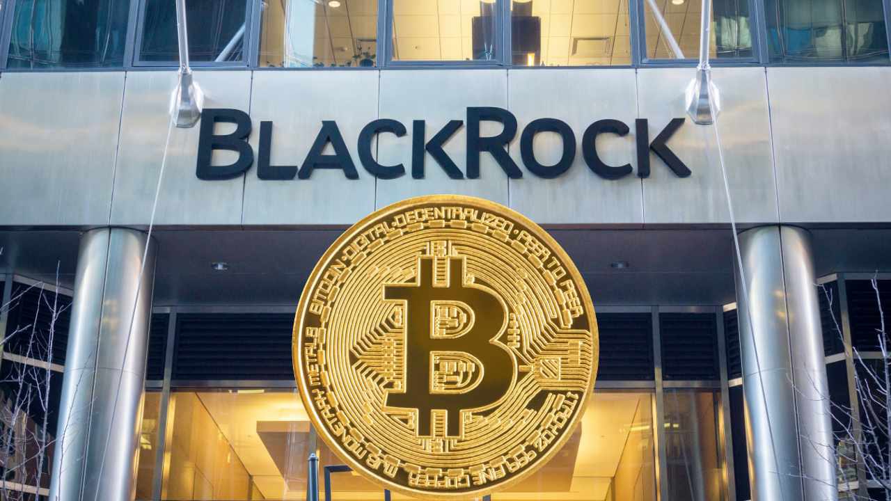 The Evolution of BlackRock: From Asset Management to Global Influence ...
